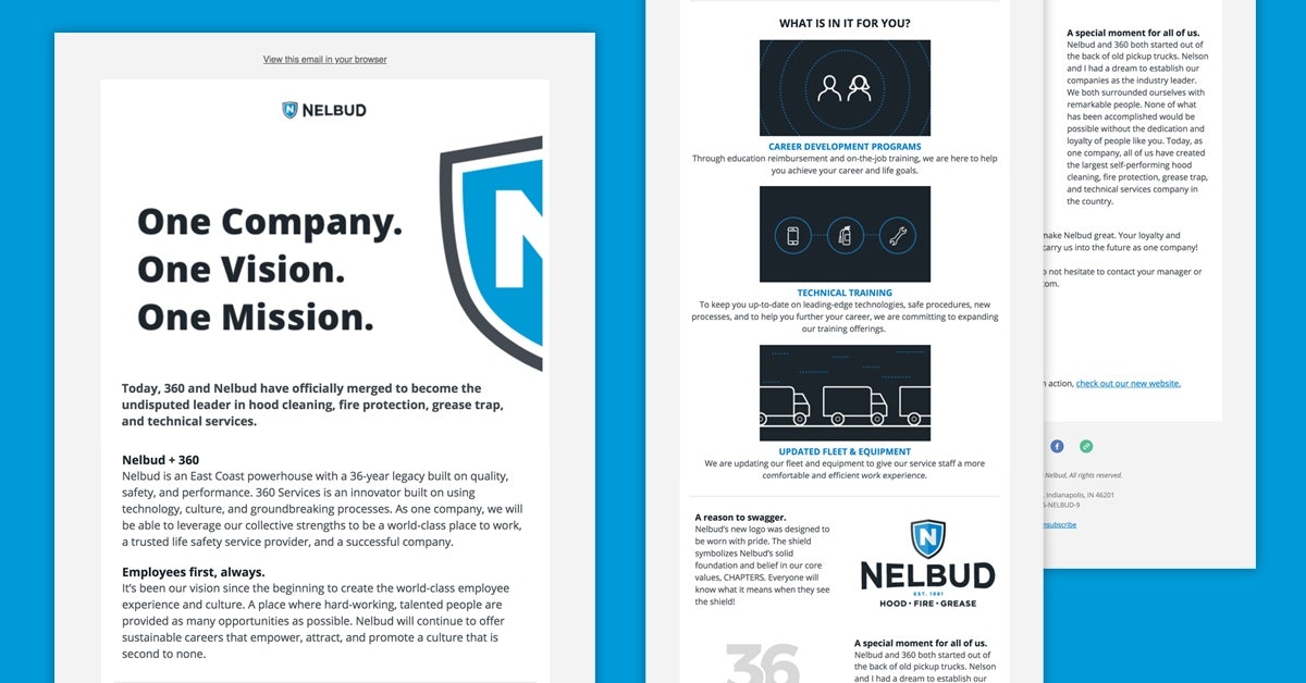 Nelbud Brand Launch Case Study | Work | Element Three